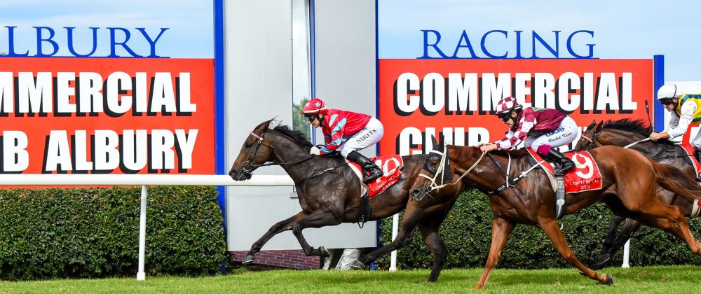 Albury Racing Club – Country Racing at its Best!